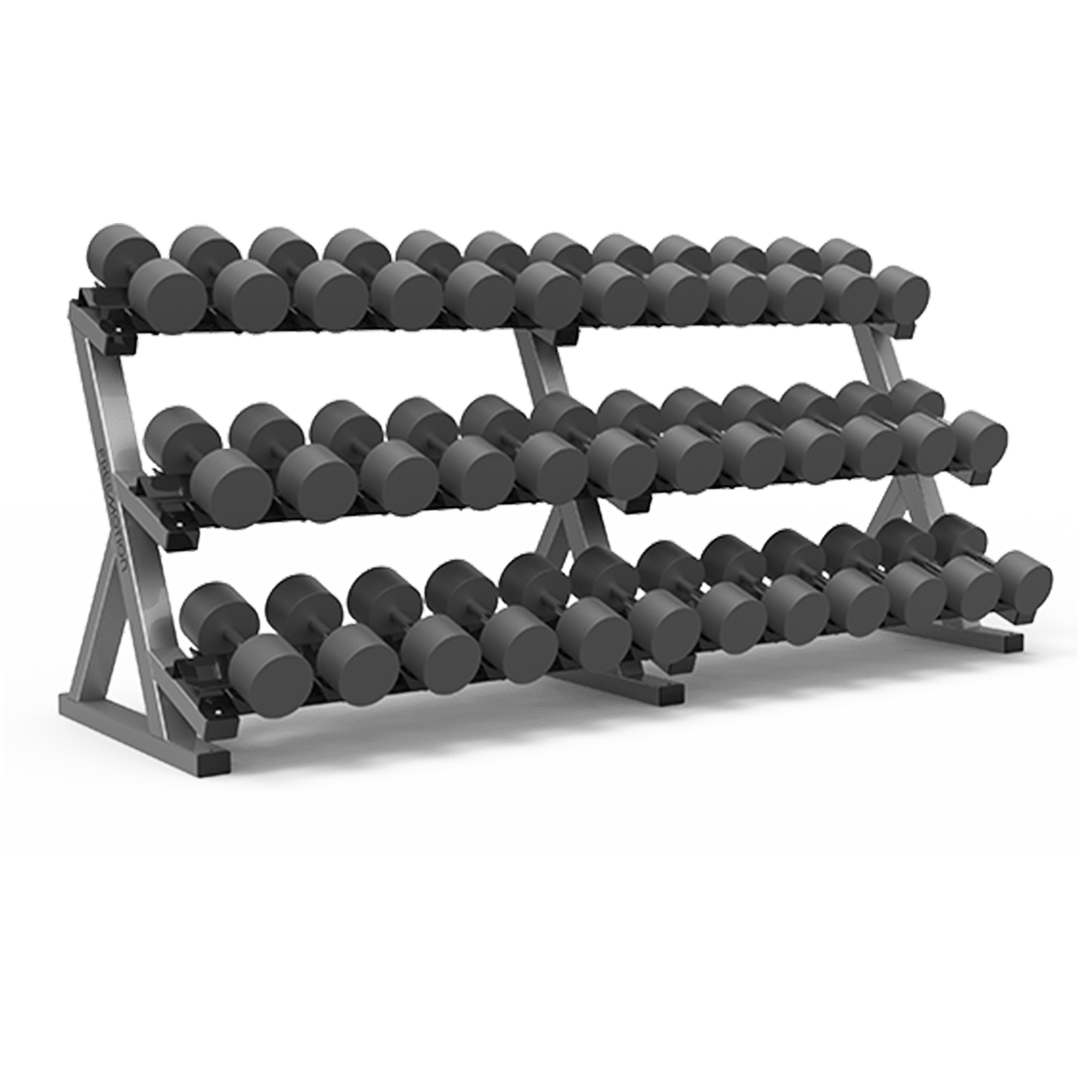 FreeMotion DUMBBELL RACK (SADDLE) – Balance Fitness